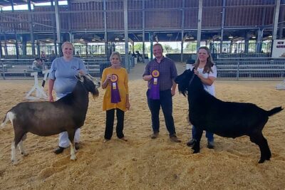 Sable Goat - Breed Profile - Goat Journal